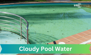 Cloudy Pool Water Causes and Solutions - Intec America Corporation