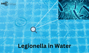 How To Remove Legionella and Other Water-Borne Bacteria from Your Pool ...